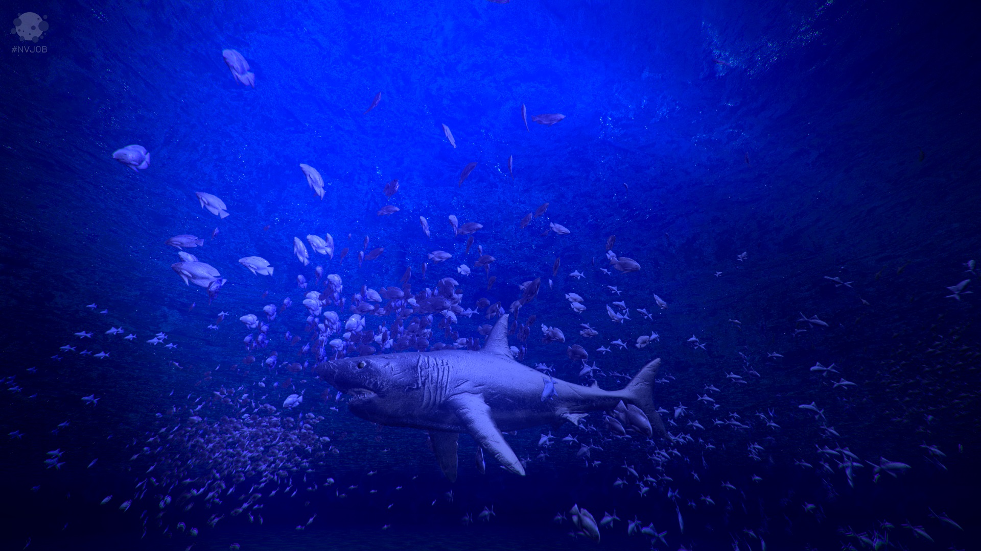 Simple Boids (Simulation Flock). Free Unity Asset. Nicholas Veselov Unity Developer. Николай ...